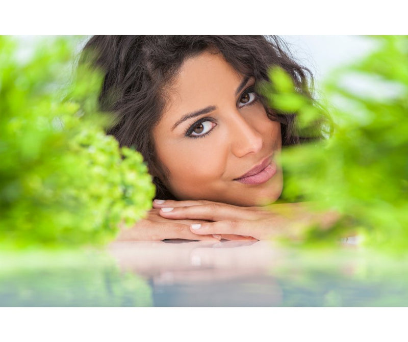 4 R’s Remove, Rebuild, Restore, and Replenish